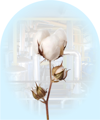 Cottonseed oil mill plant manufacturers| Cotton Seed Oil Extraction ...